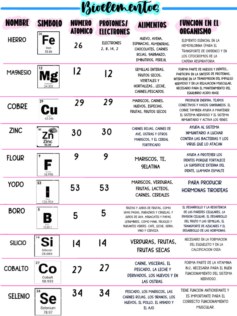 Bioelementos | PDF | Carne | Fruta