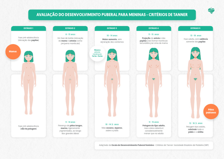 L08 - Escala de Tanner Feminina | PDF | Puberdade | Infância