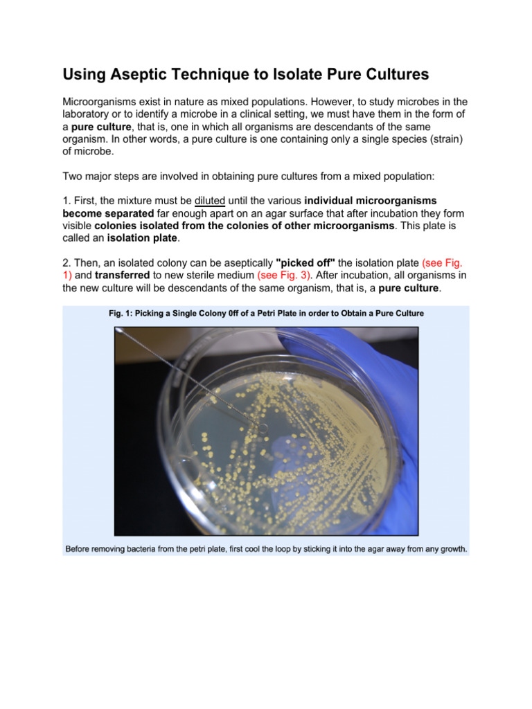 Using Aseptic Technique To Isolate Pure Cultures | PDF | Growth Medium ...