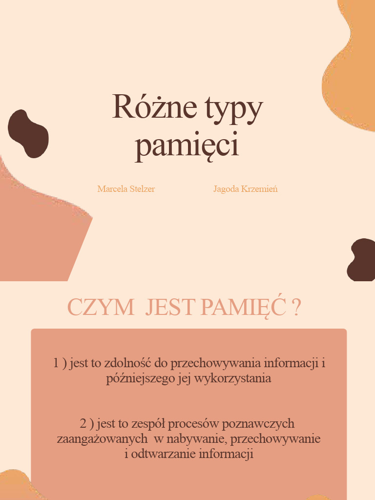 Różne Typy Pamięci | PDF