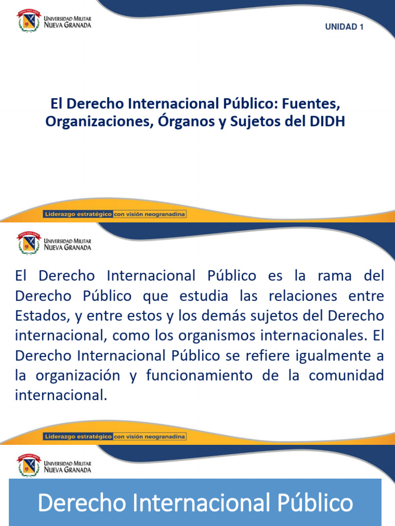 Derecho Internacional De Los Derechos Humanos 2024 Descargar Gratis
