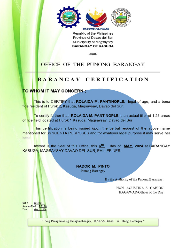 Barangay Certification for Rolaida Pantinople | PDF