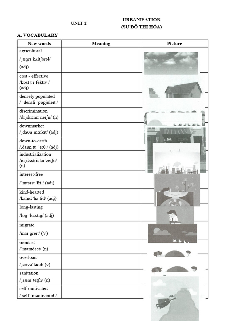 Urbanization Vocabulary and Grammar Guide | PDF