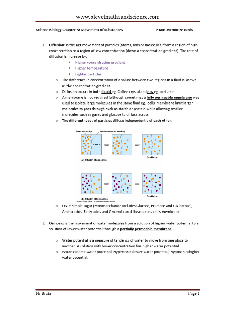 03 Movement of Substances | PDF | Cell Membrane | Osmosis