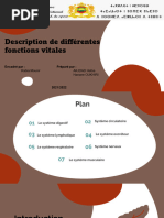 Classification SISTA 2022 | PDF | Émail dentaire | Dent