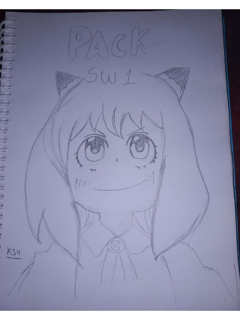 Pack Software 1 | PDF