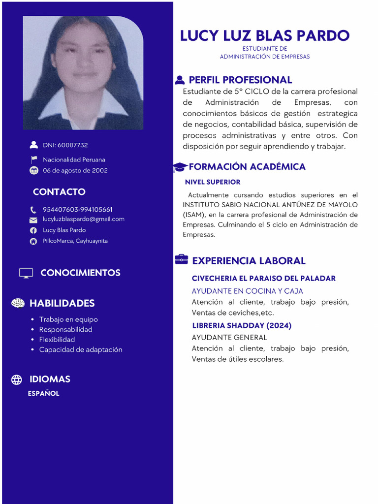 CV Lucy Luz 2024 | PDF