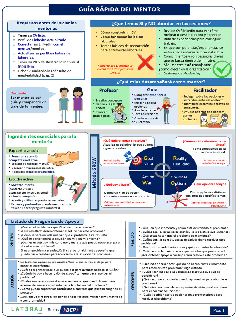 Guía Rápida Del Mentor | PDF