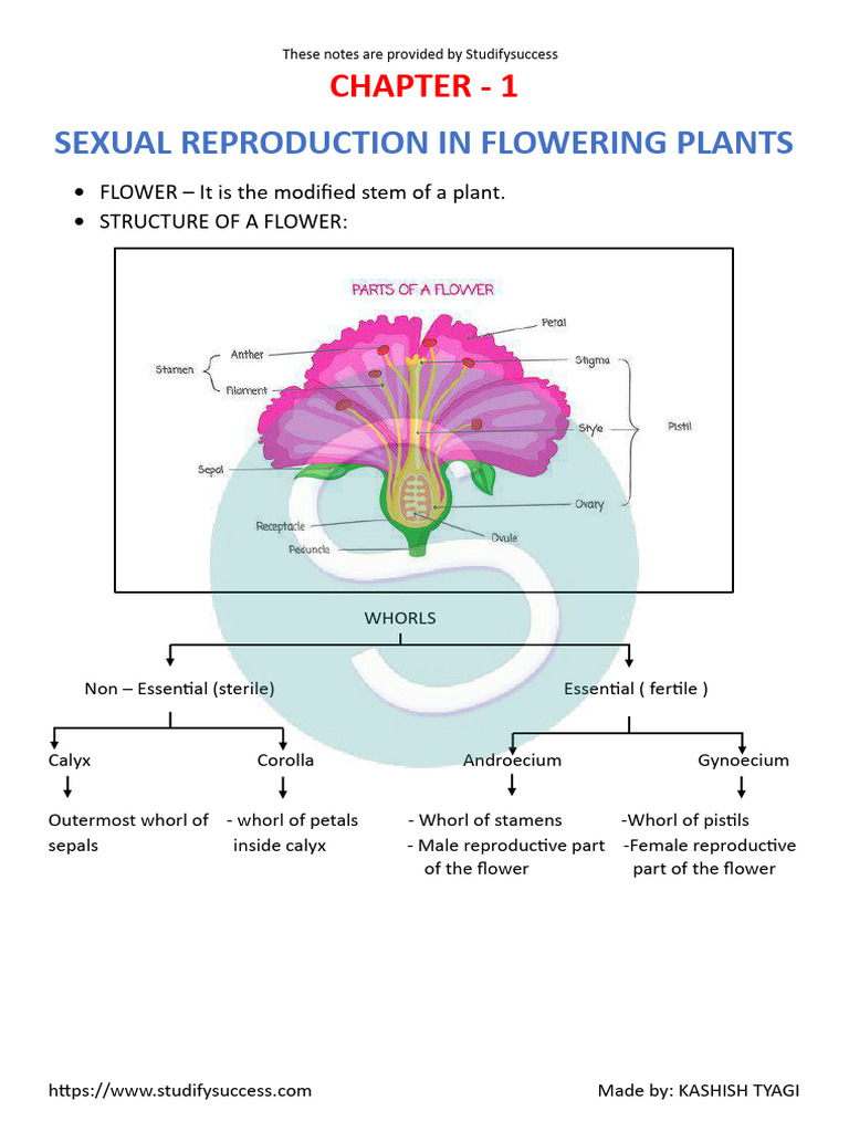 class 12 bio ch-1 notes | PDF | Flowers | Seed