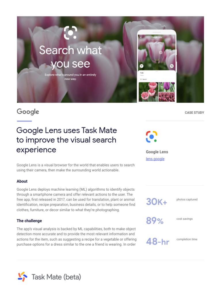 Task Mate Google Lens Categorization | PDF | Machine Learning | Computing