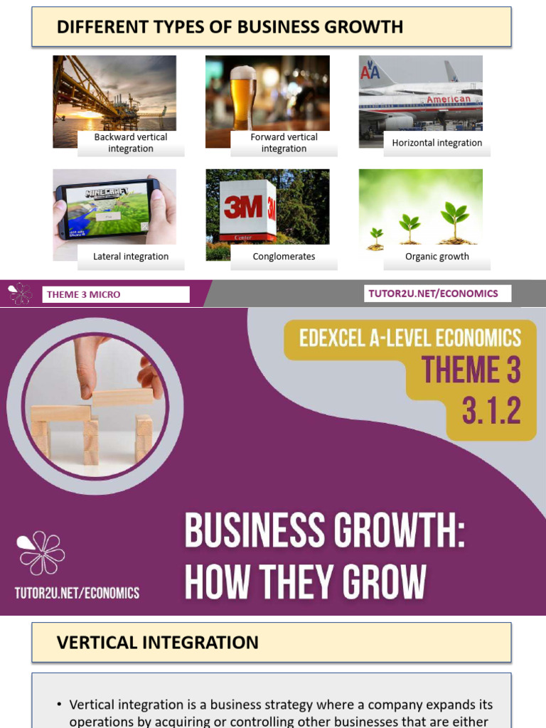 3 1 2 Business Growth | PDF | Microeconomics | Profit (Economics)
