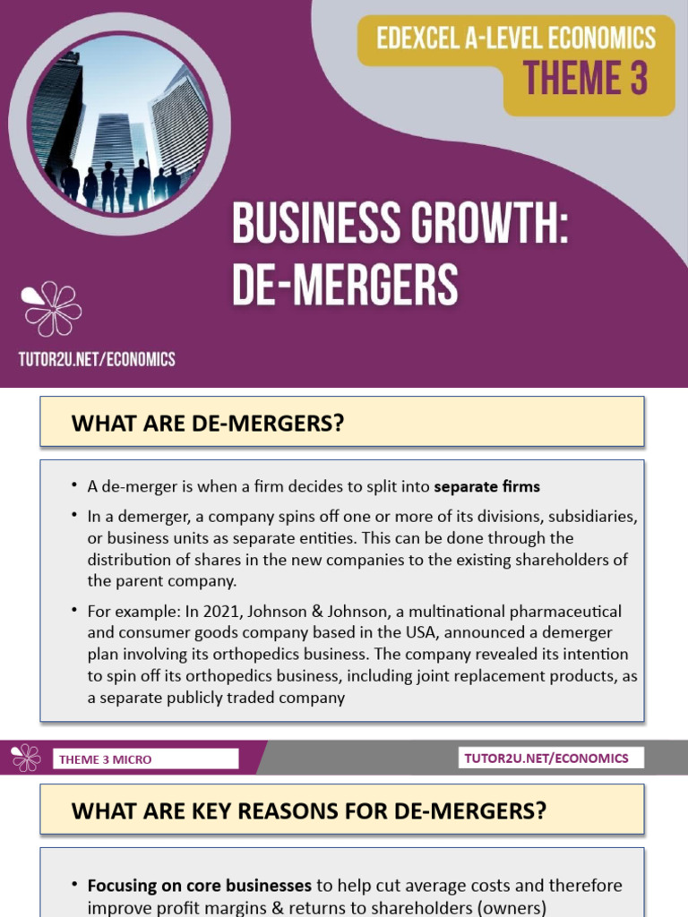 3 1 3 Demergers | PDF | Microeconomics | Profit (Economics)