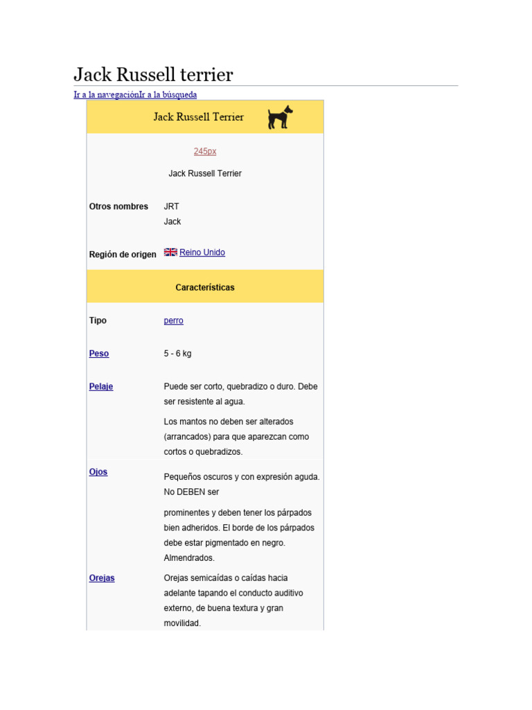 Jack Russell Terrier | PDF | Jack Russell Terrier | Perros de caza