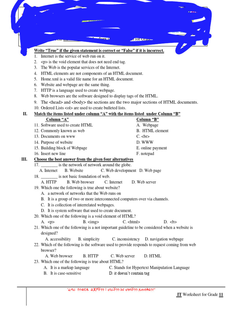 ICT Worksheet For Grade 11 | PDF | World Wide Web | Internet & Web