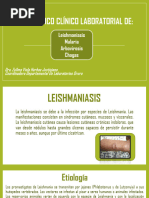 Prueba de Montenegro en Leishmaniasis | PDF | Sistema inmune ...