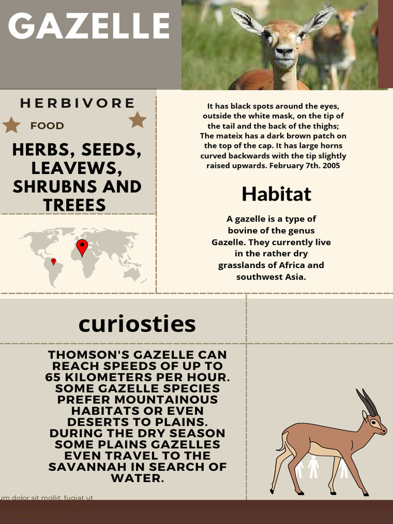 Gazelle Poster | PDF