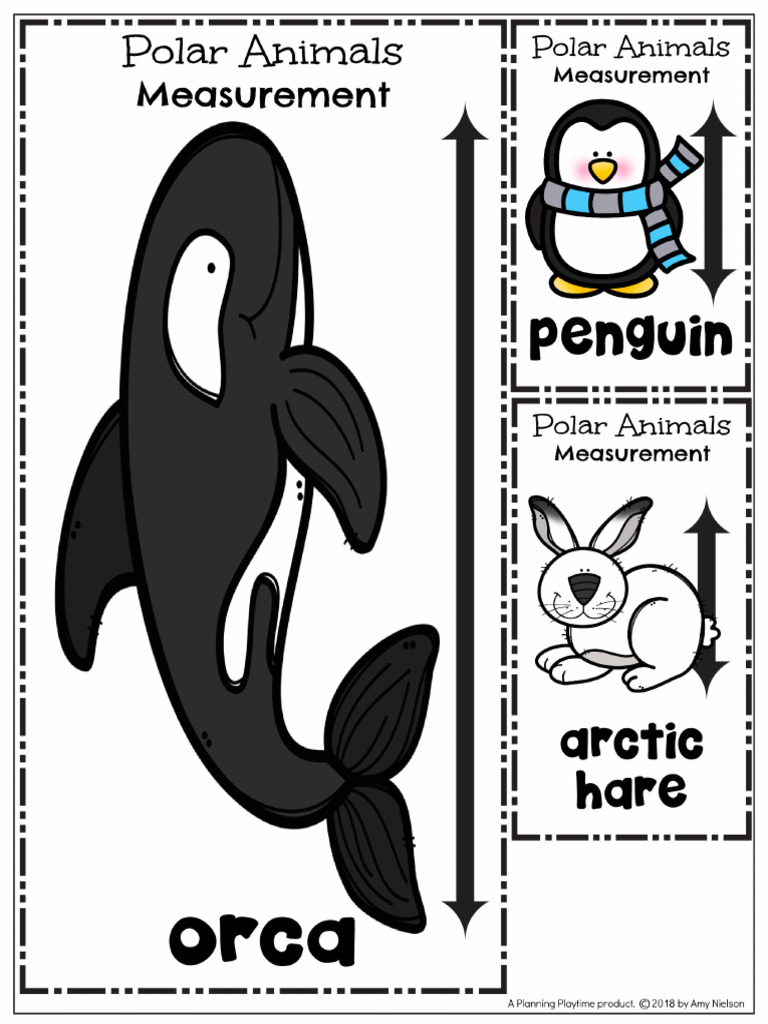 Animal Measurement Cards | PDF