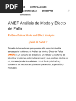 Metodologia Amef | PDF