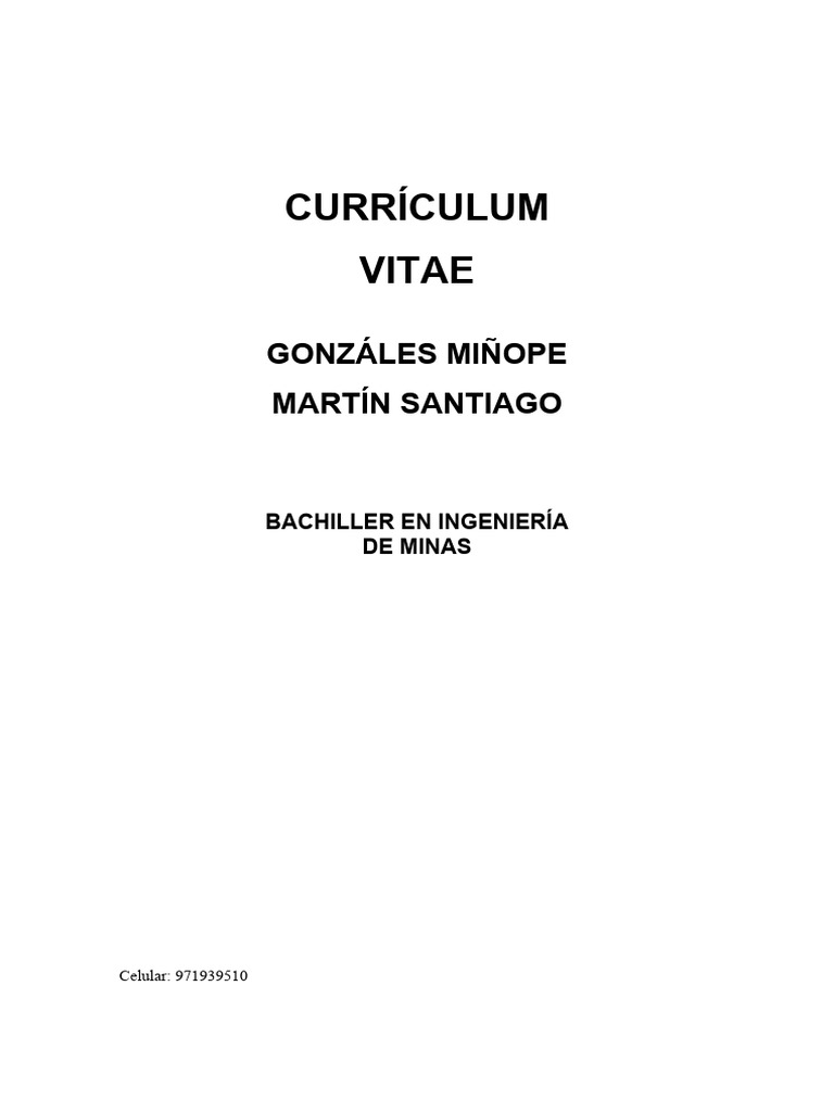 CV - Martin Gonzales Minem | PDF | Documento de identidad