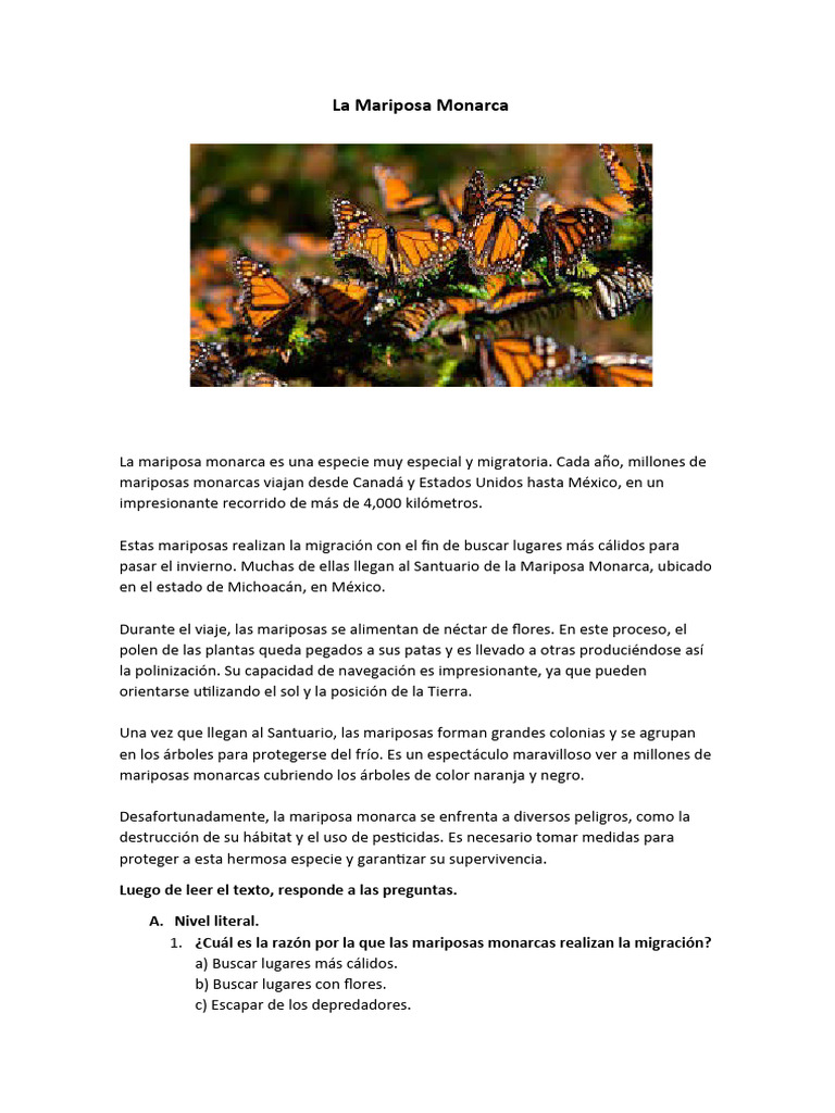 Comprension Lectora -La Mariposa Monarca - Sexto | Descargar gratis PDF ...