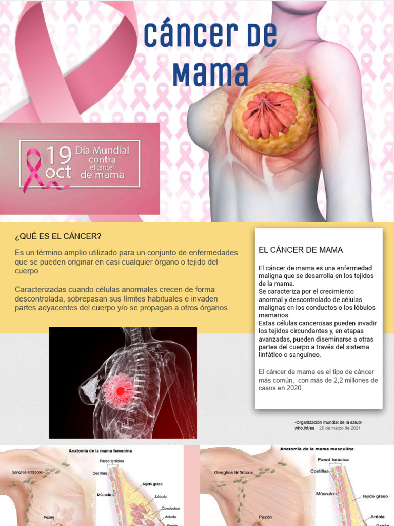 CA Mama Adulto | PDF | Cáncer de mama | Pecho