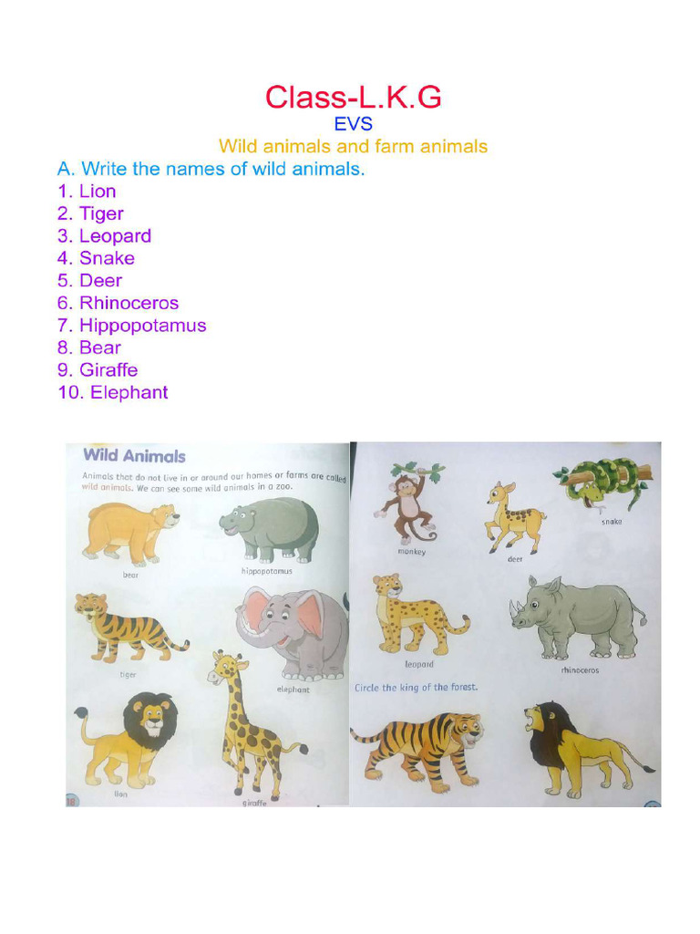 Wild Animals 1 | PDF
