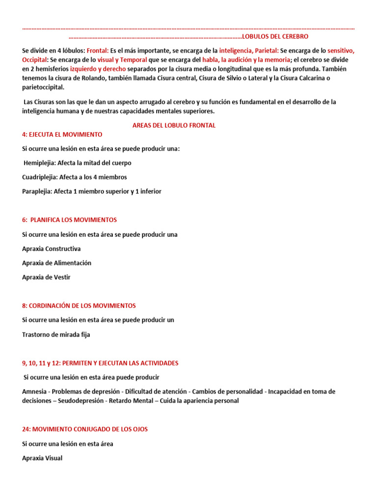 Funciones y Lesiones de los Lóbulos Cerebrales | PDF | Lóbulo occipital ...