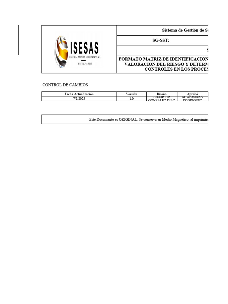 FT-SST-006 Formato Matriz de Identificacion de Peligros y Valoracion de Riesgos | PDF | Dolor ...