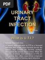 Pathophysiology of Uti | PDF | Urinary Tract Infection | Urinary Bladder