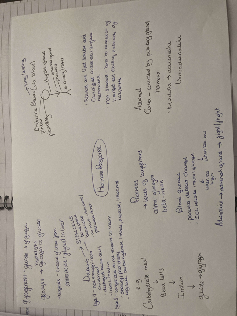 Biology Hormone Response Notes | PDF