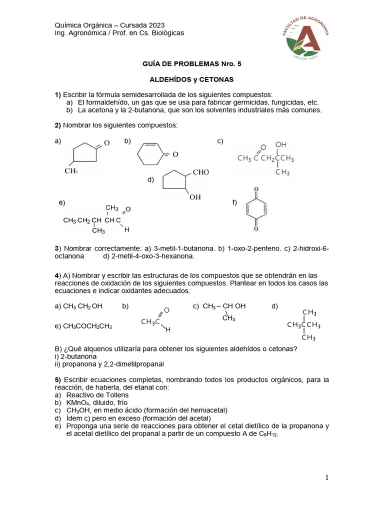 Guía Prob 5-Aldehidos Cetonas - QcaOrg2023 | PDF | Aldehído | Compuestos químicos