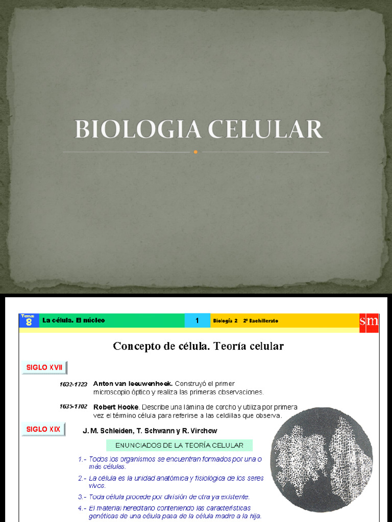 Biología Celular | PDF