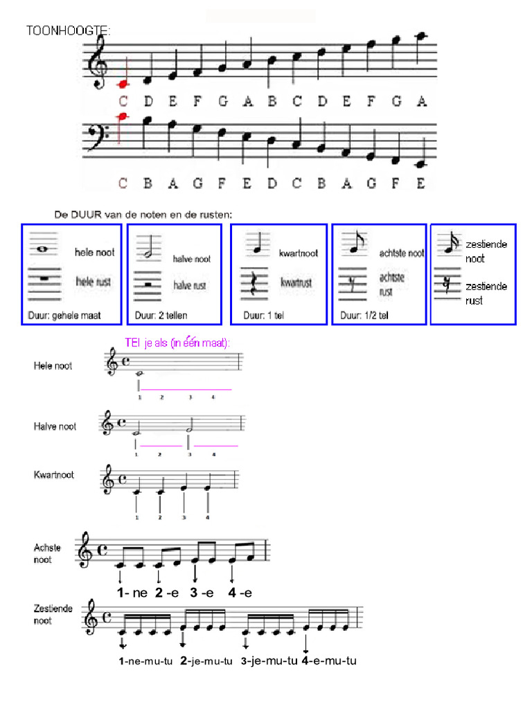 BASISKENNIS Notenleer | PDF
