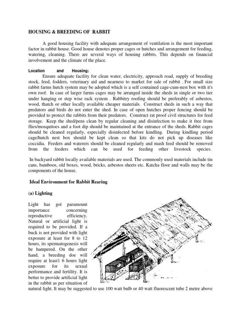 Rabbit Housing & Breeding Guide | PDF | Lighting | Shed
