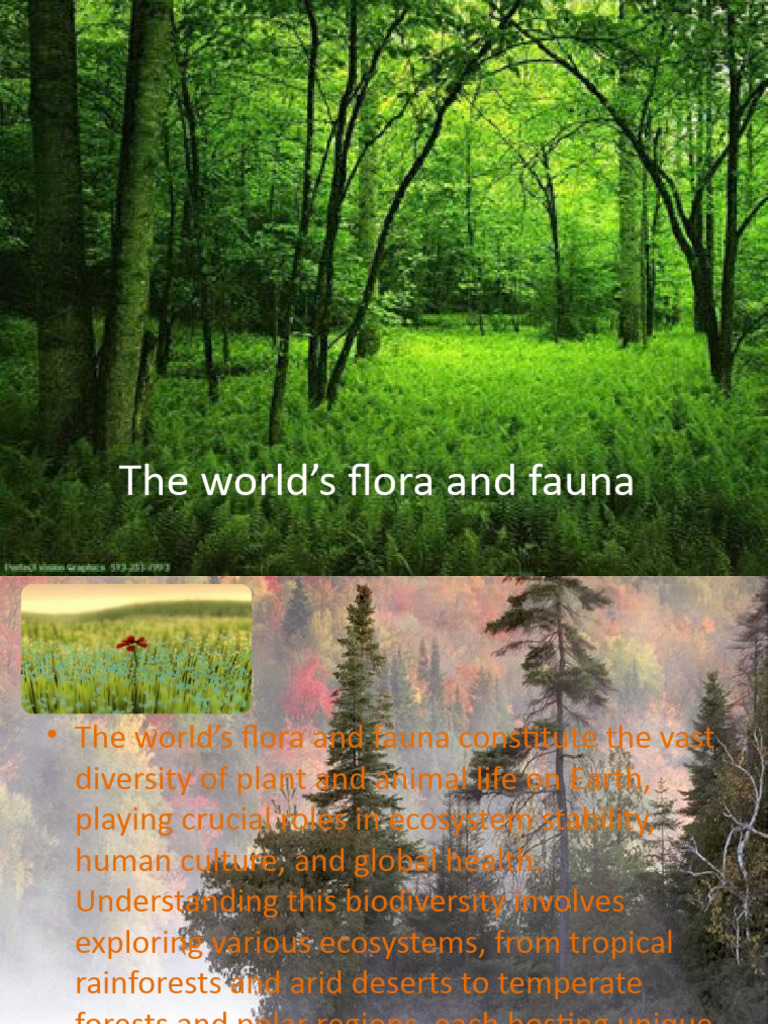 Exploring Global Flora and Fauna Diversity | PDF | Plants | Forests