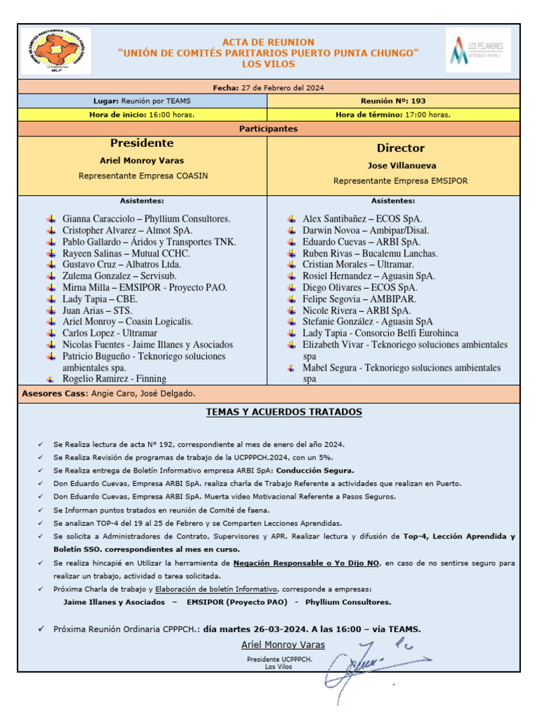 Acta Reunión N°193 UCPHS PPCH | PDF