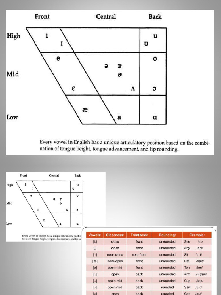 Front vowels | PDF | Vowel | English Language