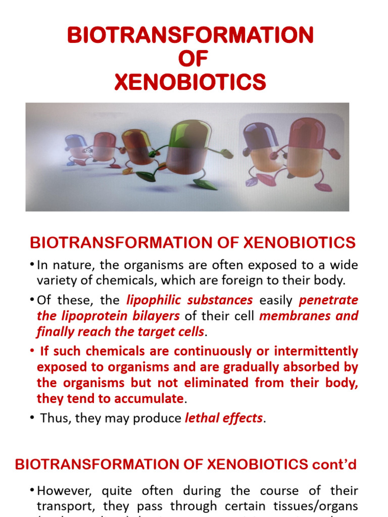Biotransformation OF Xenobiotics | PDF | Drug Metabolism | Cytochrome P450