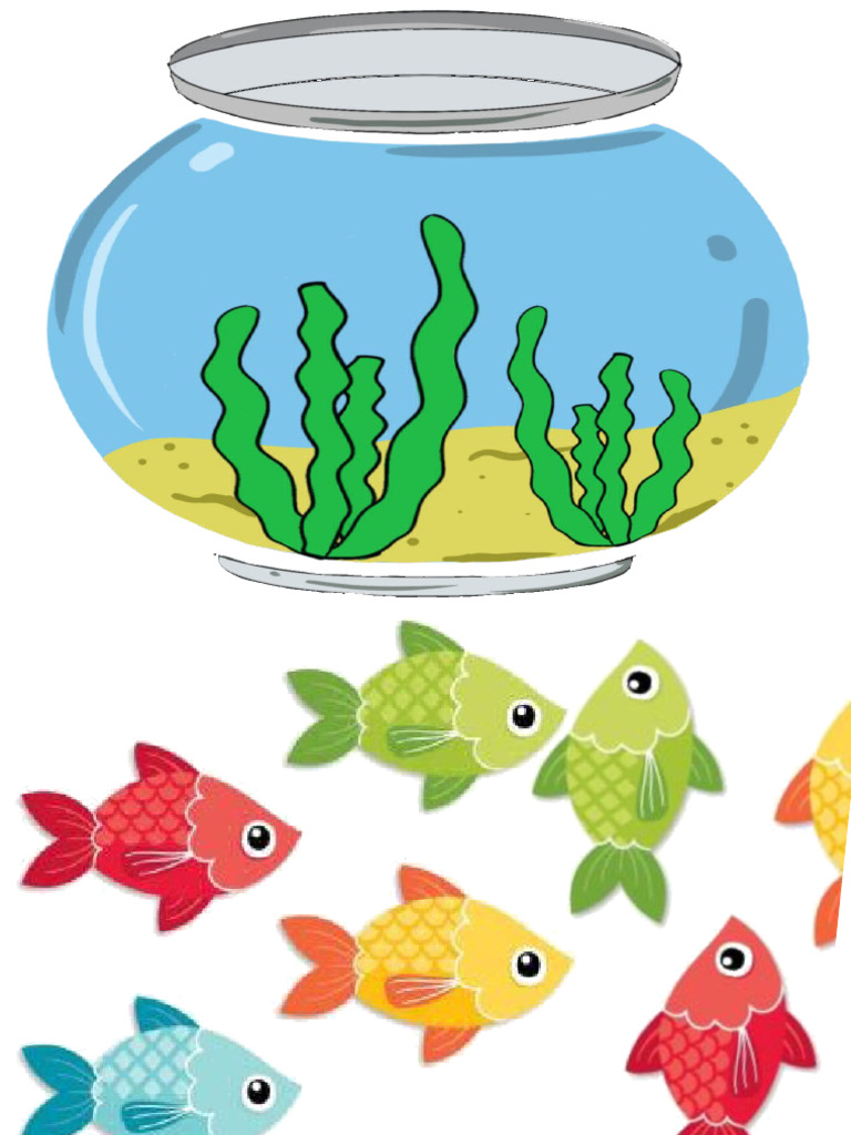 Numeracy 8 IMS | PDF