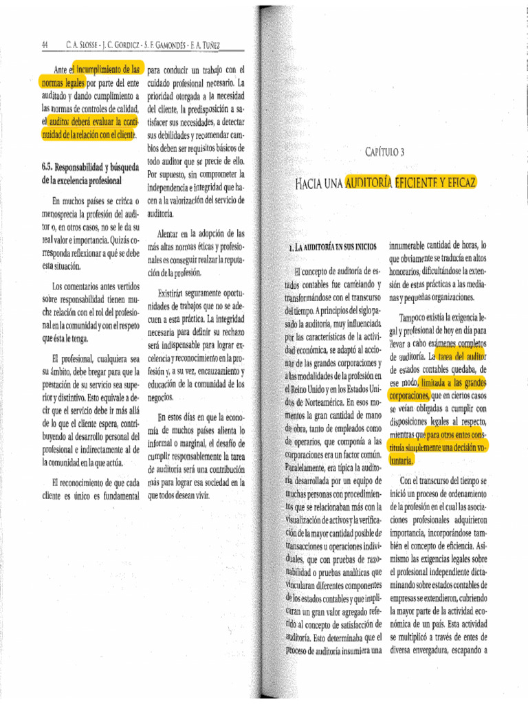 Cap 3 Slosse | PDF | Auditoría | Contabilidad
