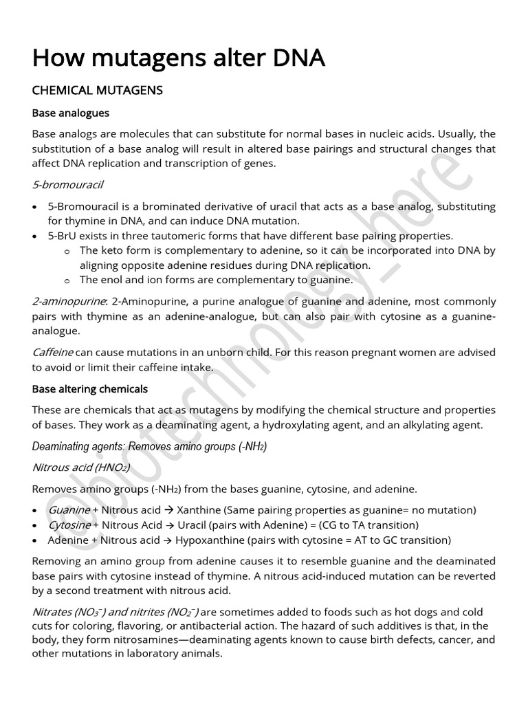 How Mutagens Alter DNA | PDF | Dna | Base Pair