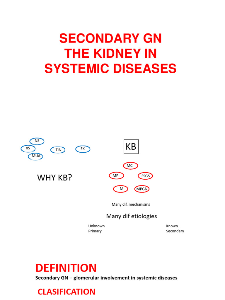 Lecture 5 Secondary Glomerulonephritis | PDF | Medical Specialties | Diseases And Disorders