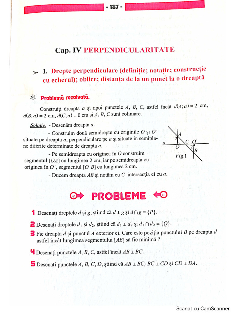 14perpendiculare Cls 6 | PDF
