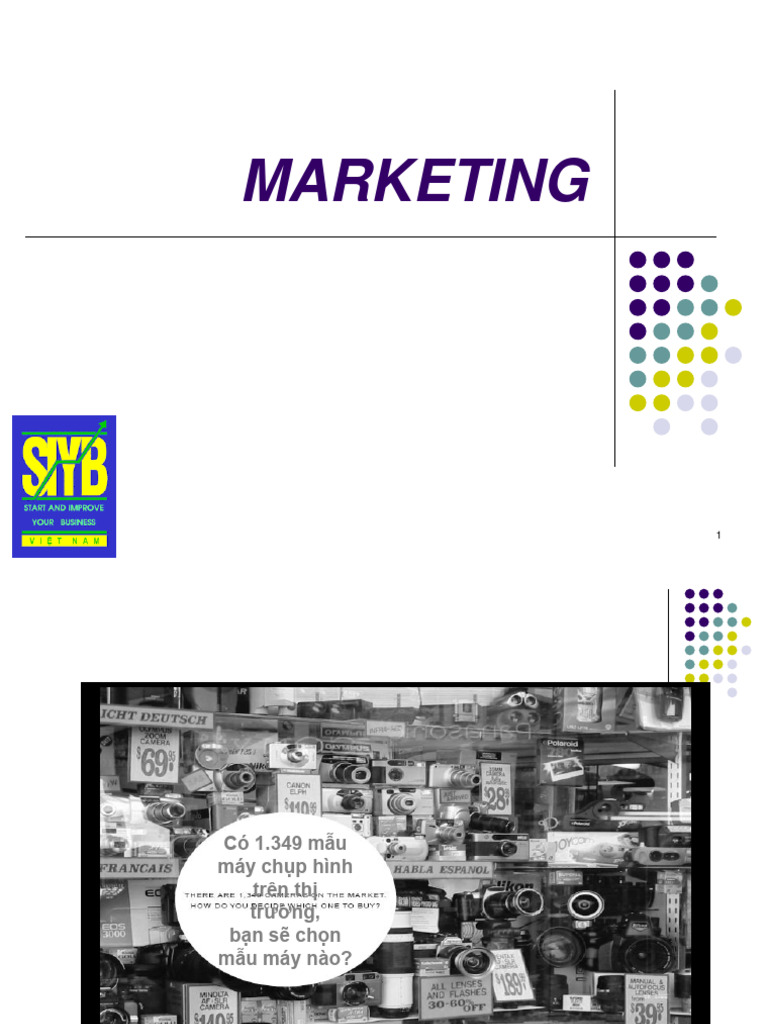 Marketing Syb | PDF