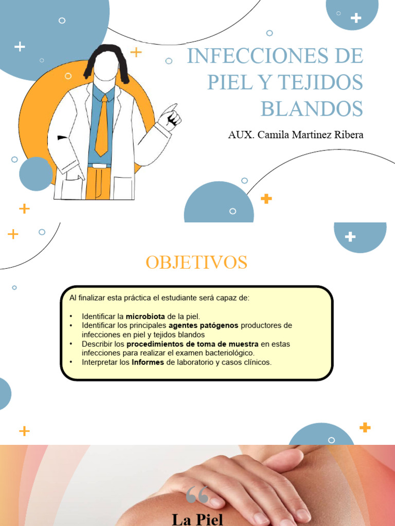 Tema 9 Infecciones de La Piel y Tejidos Blandos | Descargar gratis PDF | Staphylococcus Aureus ...