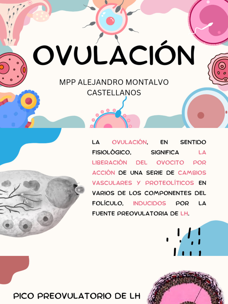 Ovulación, Transporte de Gametos y Fertilizacion | PDF | Hormona ...
