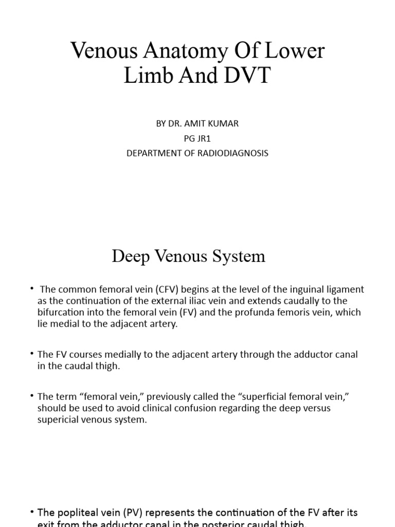 Venous Anatomy of Lower Limb and DVT-2 | PDF | Vein | Human Leg