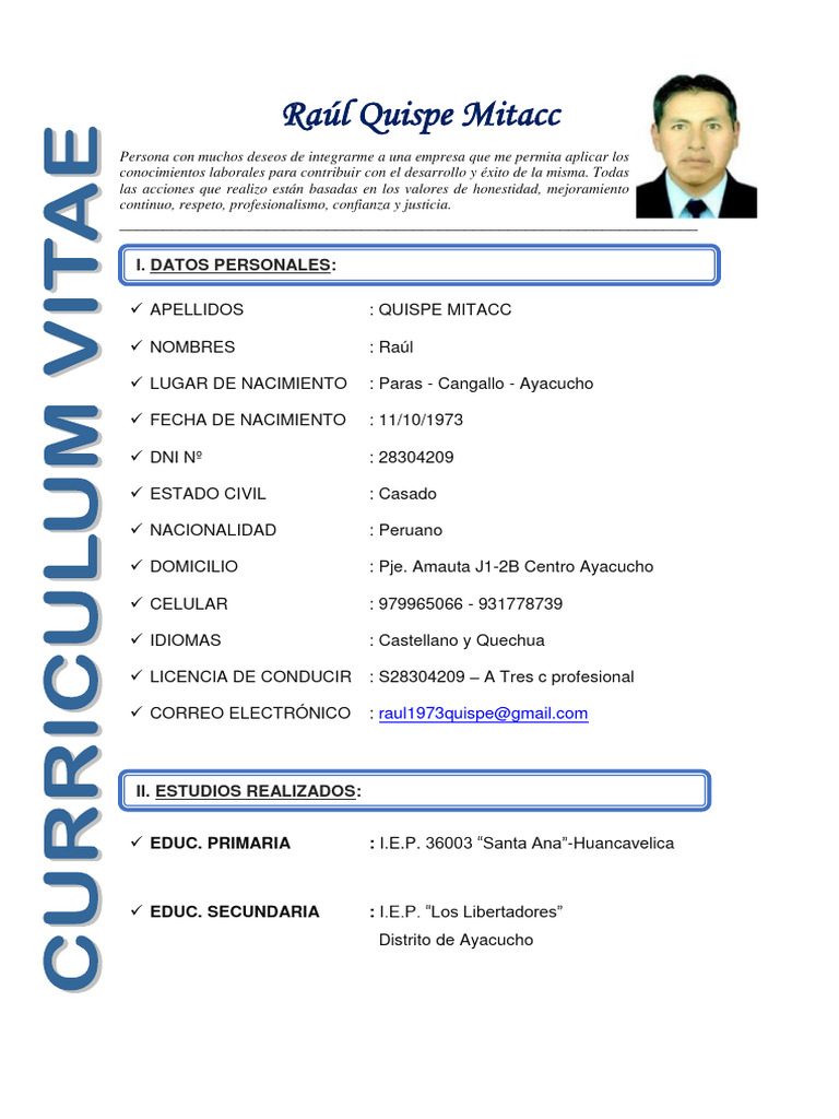 CV Raul | PDF