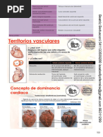Función y Ubicación del Plexo Cardíaco | PDF