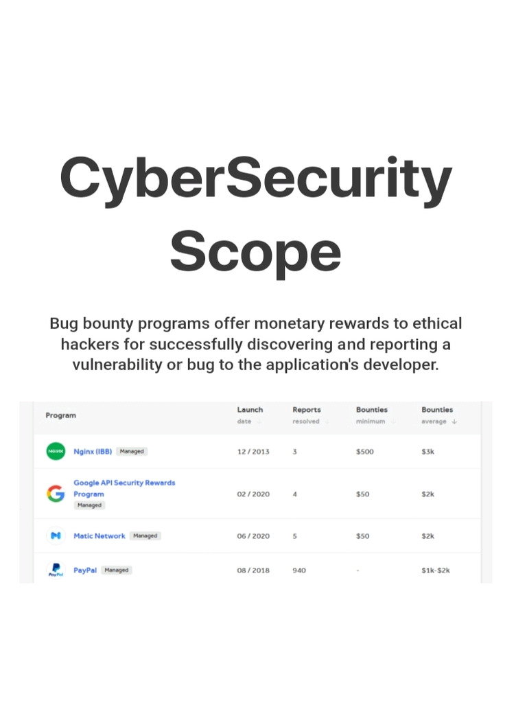 Scope CyberSec | PDF